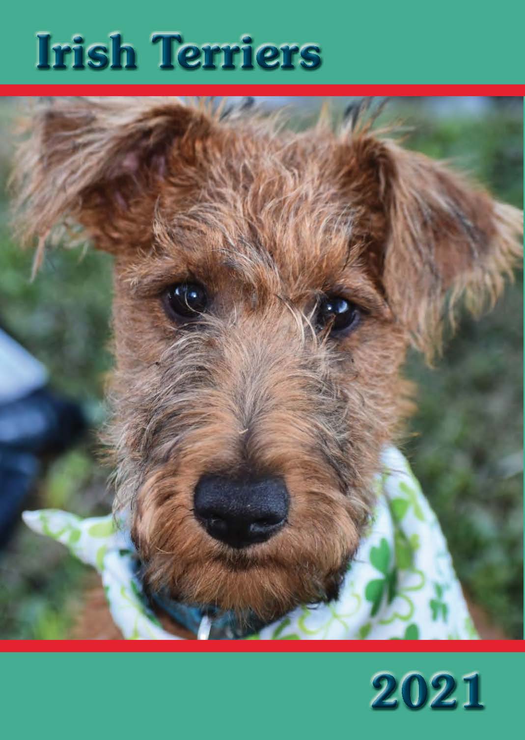 Calendars – past and present - We Love Irish Terriers